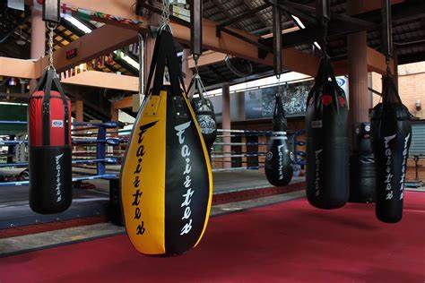 SAMSAK HEAVY BAG DOUBLE END BAG ETC – Jakarta Boxing